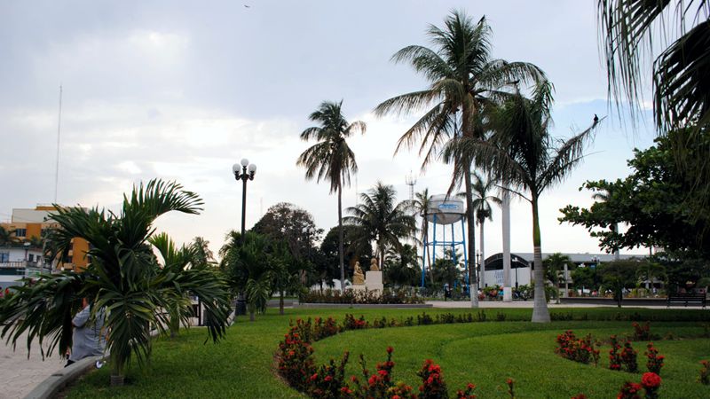 CARDEL, VERACRÚZ – ABASTECEDORA MÉDICA